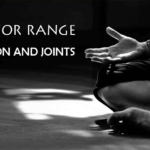 7 Yoga poses for improving blood circulation - Arogya yoga School