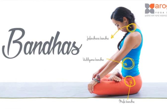 7 Yoga poses for improving blood circulation - Arogya yoga School